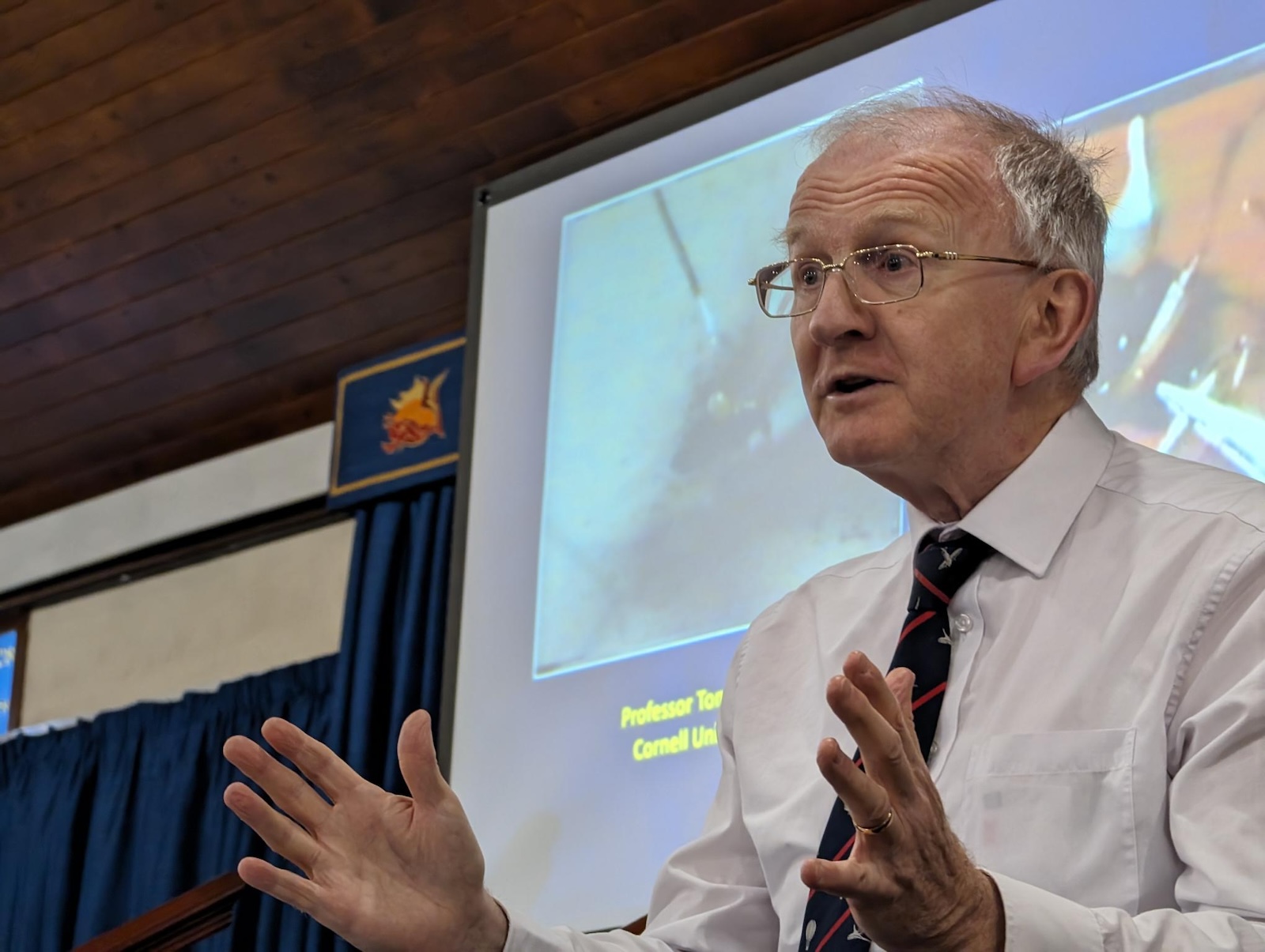 Beetles and Blessings - Community Baptist Church